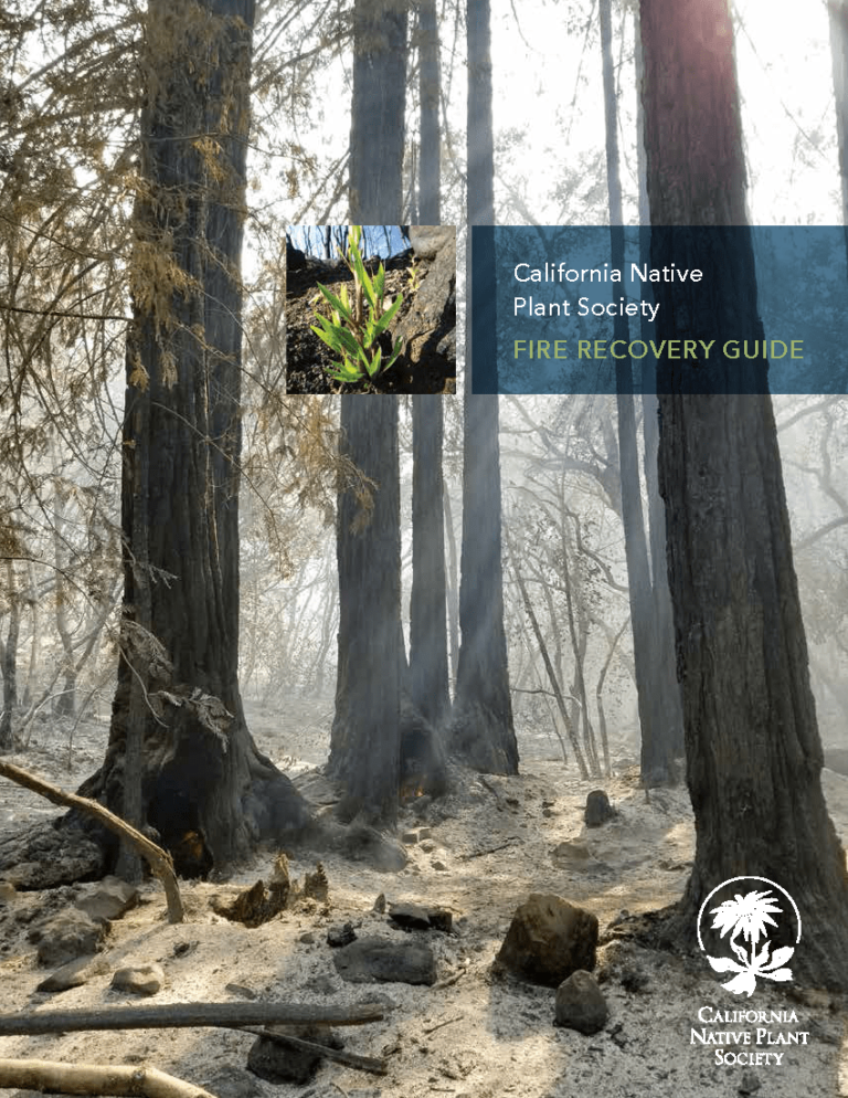 Resources | Sonoma Resource Conservation District
