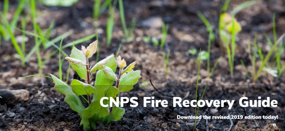 Fire Mitigation and Post-Fire Recovery | Sonoma Resource Conservation ...