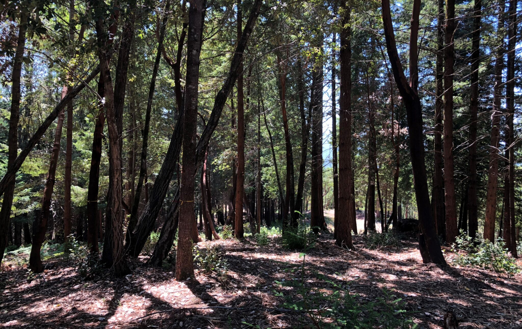 What We Do | Sonoma Resource Conservation District