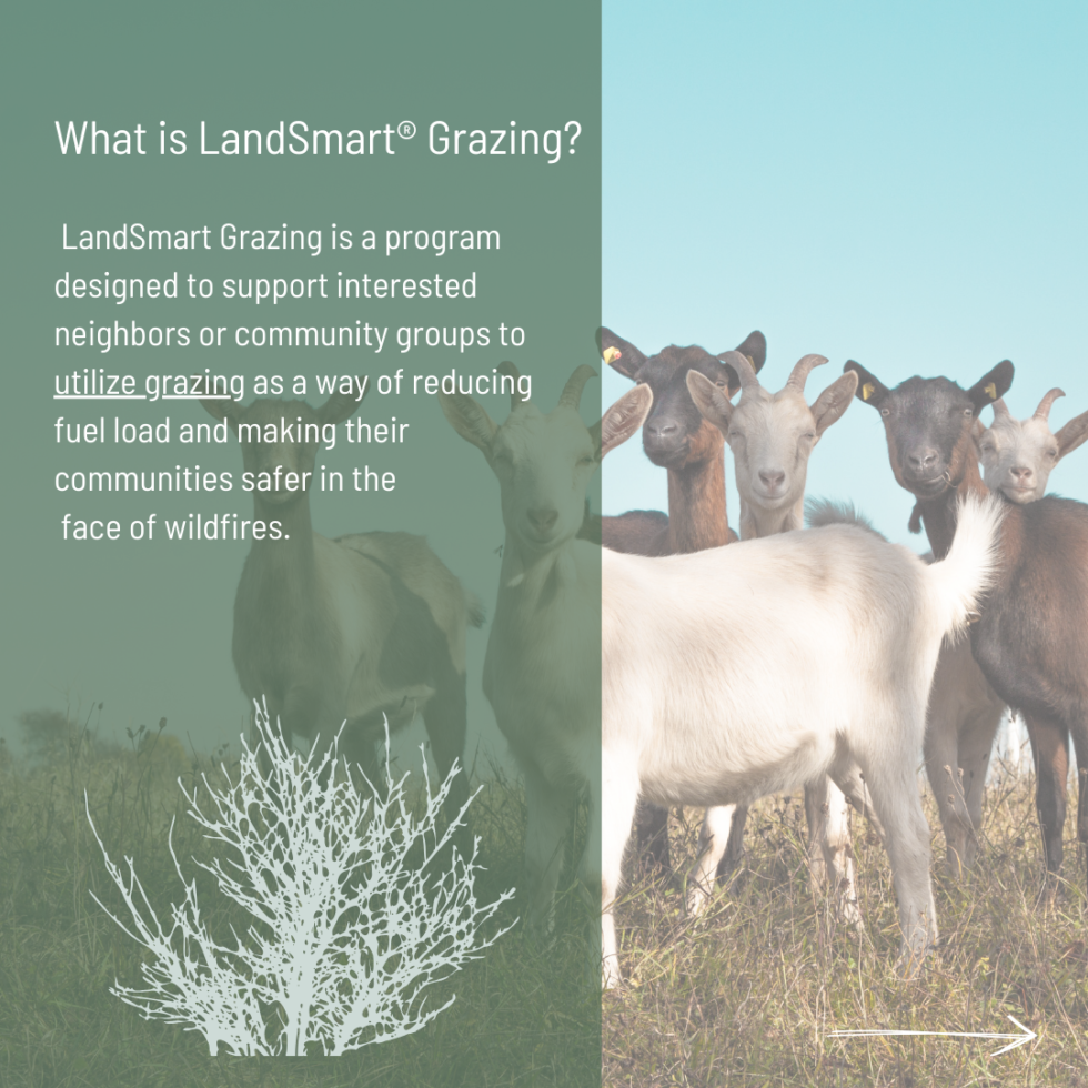 LandSmart® Grazing Phase III applications open! | Sonoma Resource ...